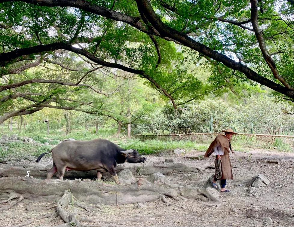 Promote strengths and avoid weaknesses, tell the behind-the-scenes ...