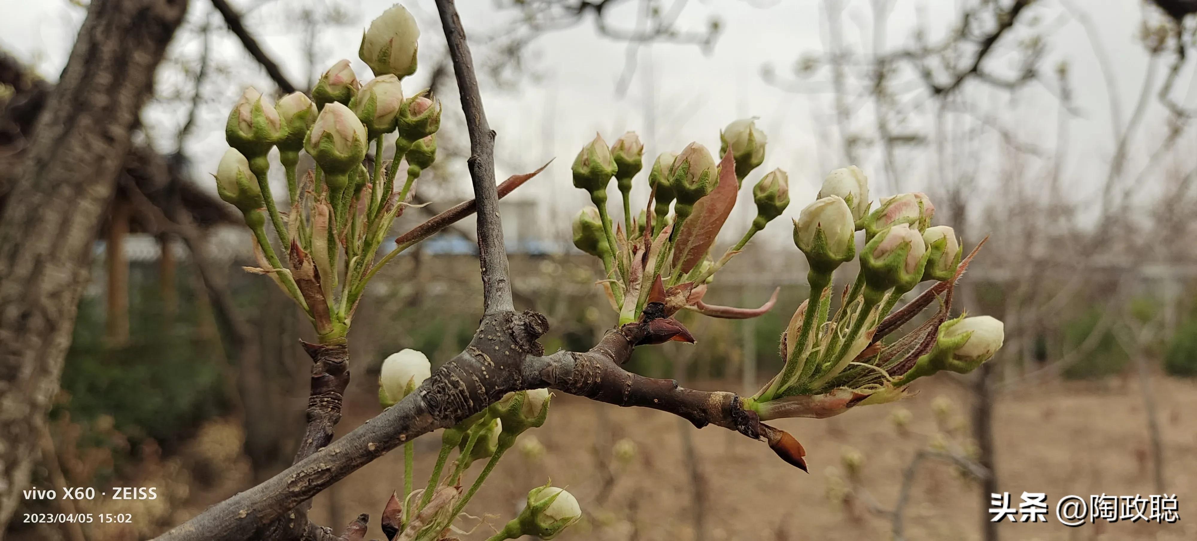 Baiyin Moon Bay Village: Several Leisure Agriculture Management Models ...
