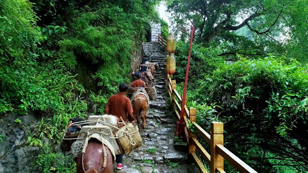 "Gateway of Sichuan and Yunnan" - Yanjin Dousha Pass - iNEWS