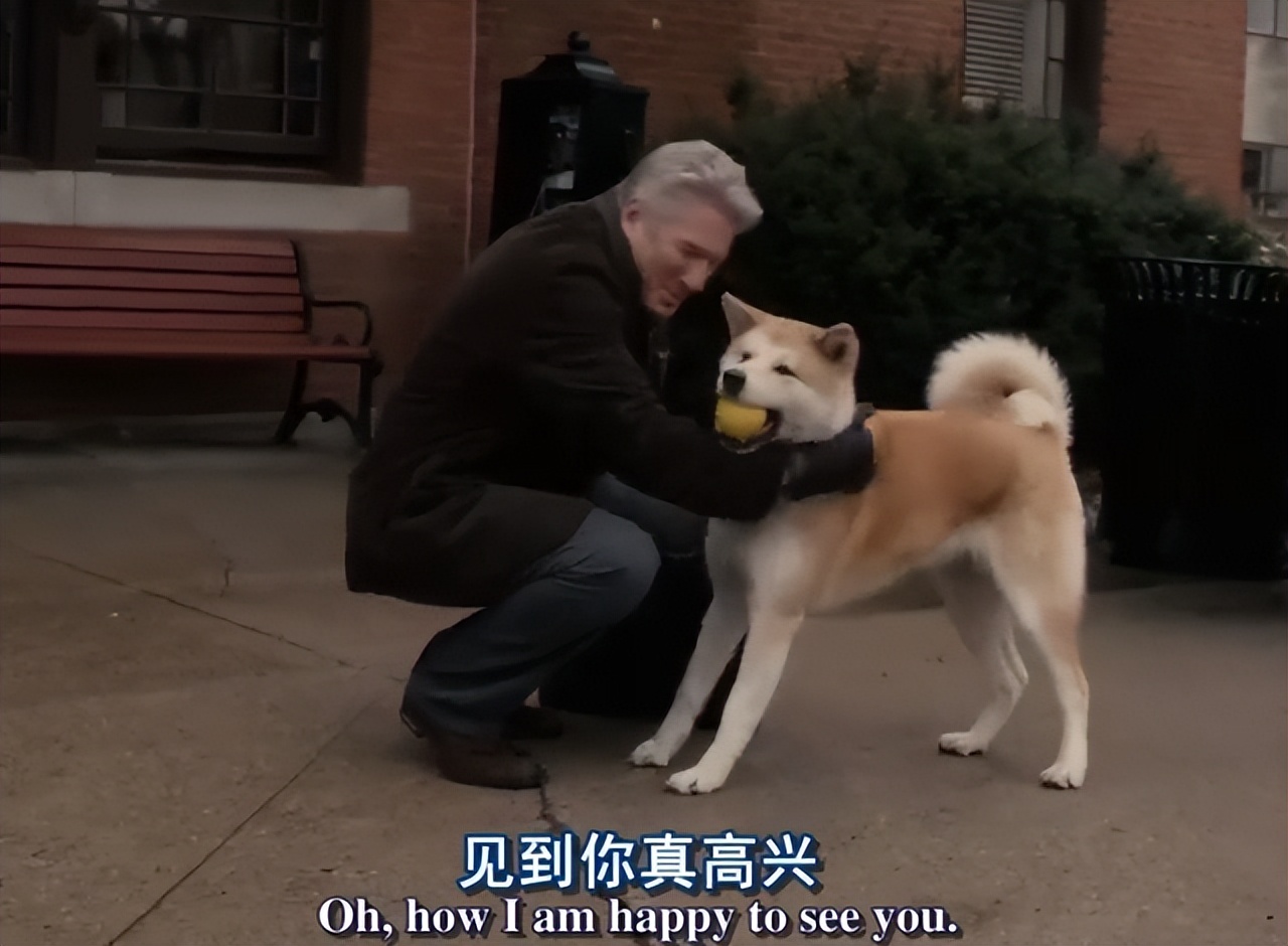 "The Faithful Dog Hachiko": Nine Years of Waiting to Interpret Loyalty ...
