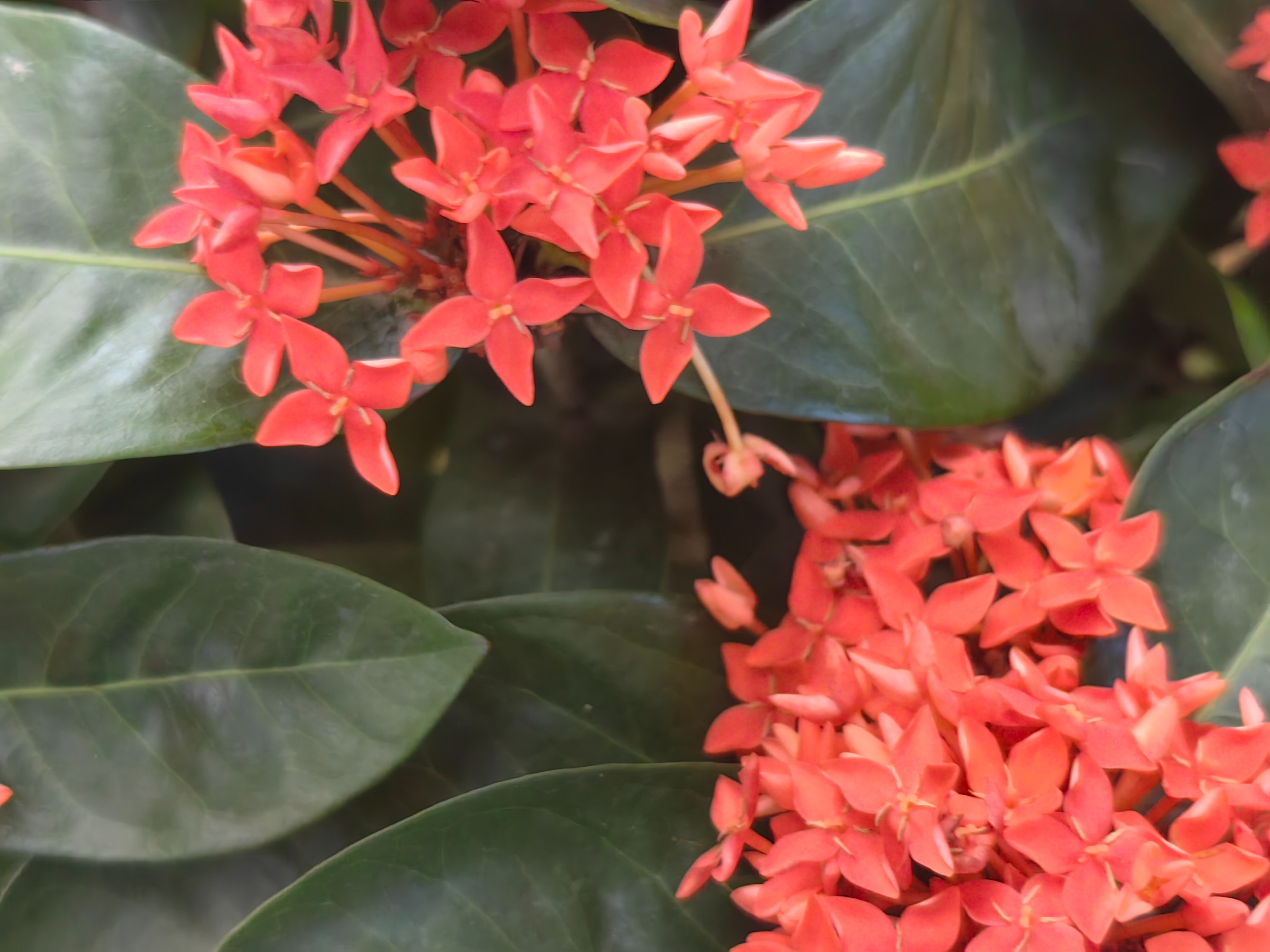 Gong Yixiu: Existing in the body [Jing Ye Reading History] - iMedia