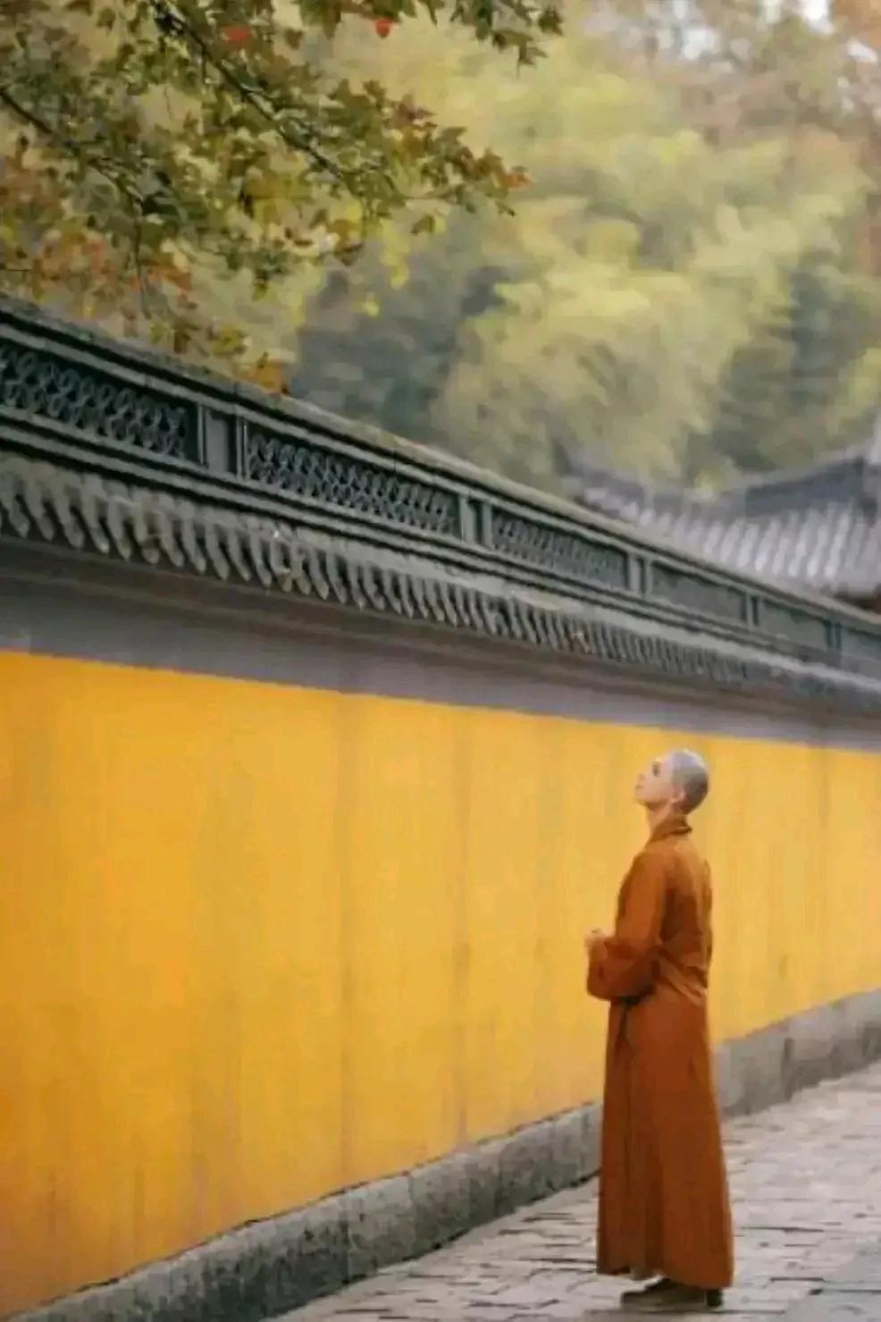 Sapphire Case. Heaven - iNEWS