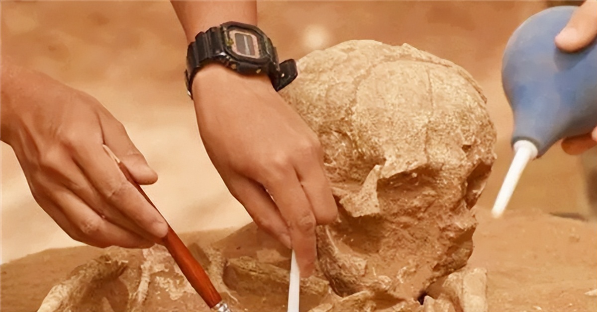 The tomb robbers suffered from the "disaster of the wall": thousands of ...