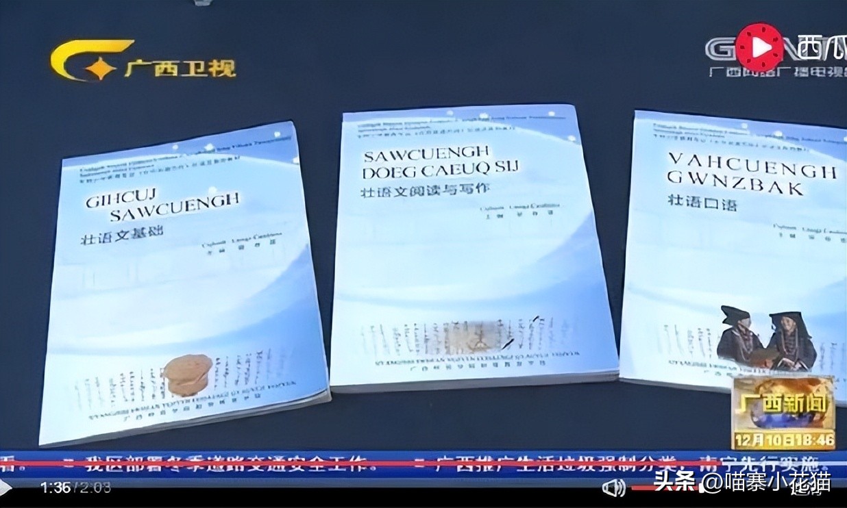 New Zhuang in Latin - iMedia
