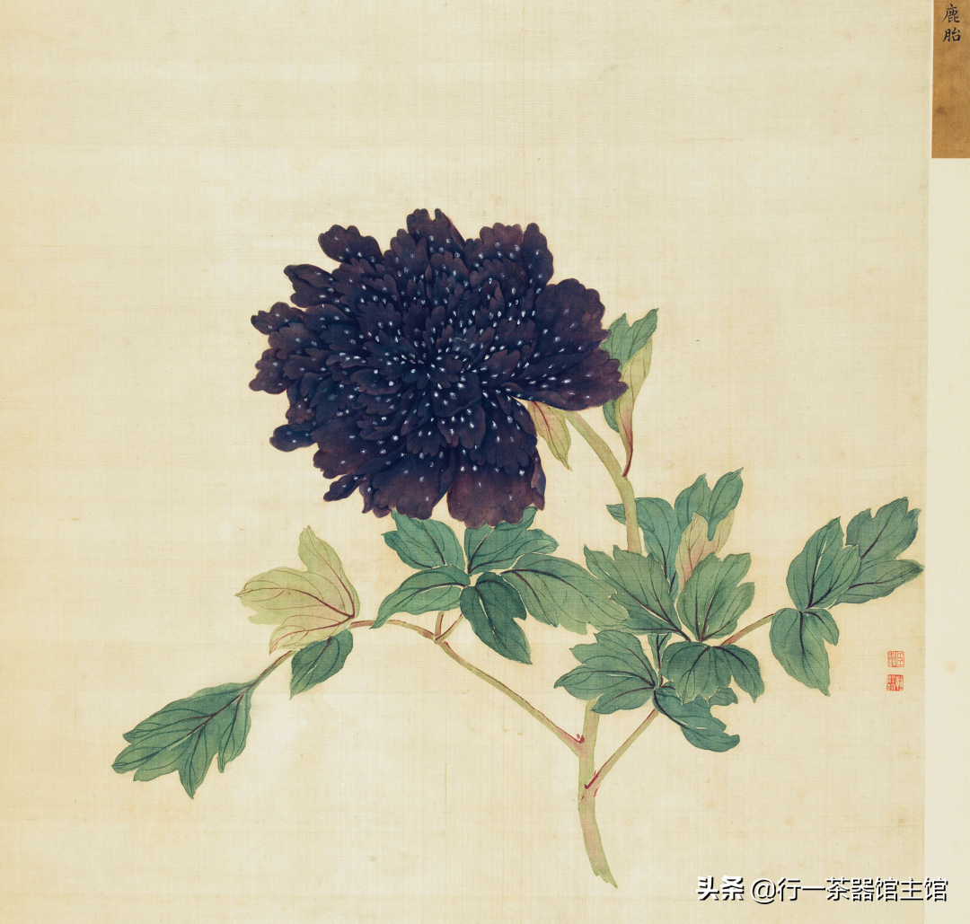 Unparalleled in the world, the first flower in the world - iNEWS