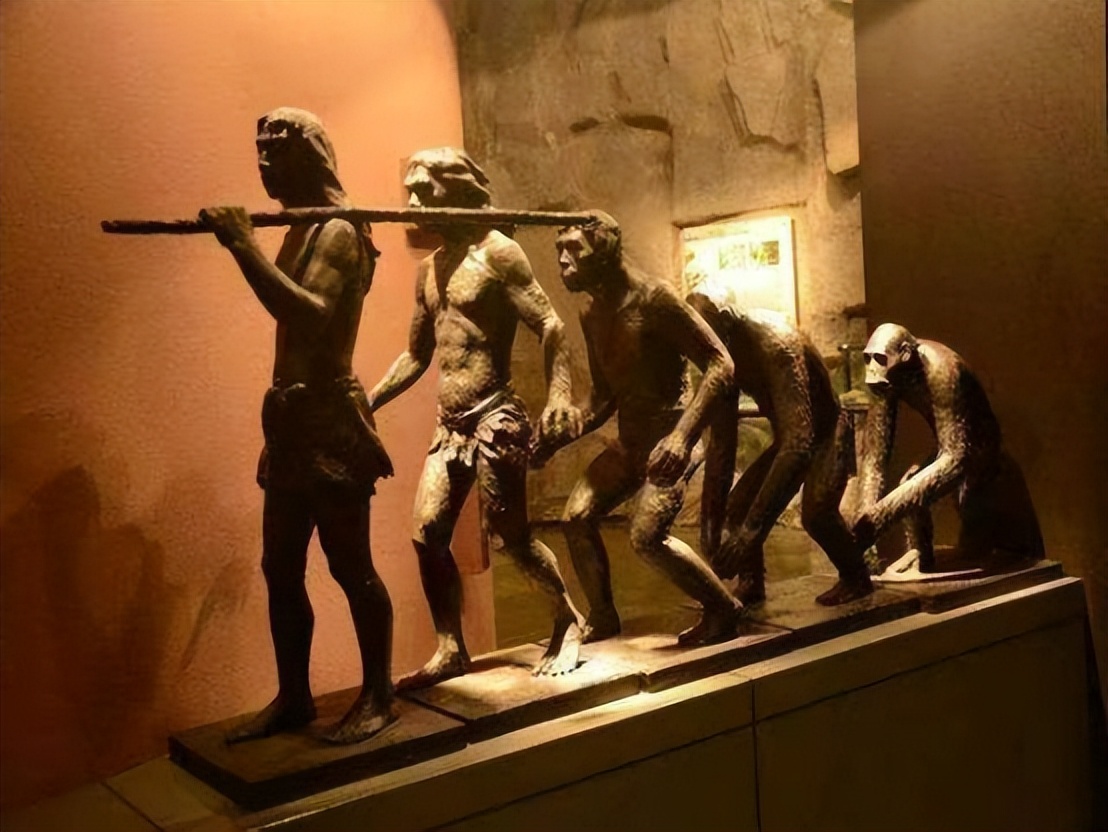 There are 206 bones in the human body, but Chinese people generally ...