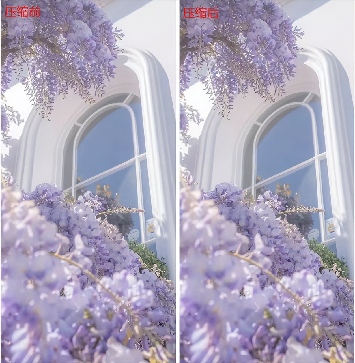 3 simple and efficient picture compression software, easy to compress ...