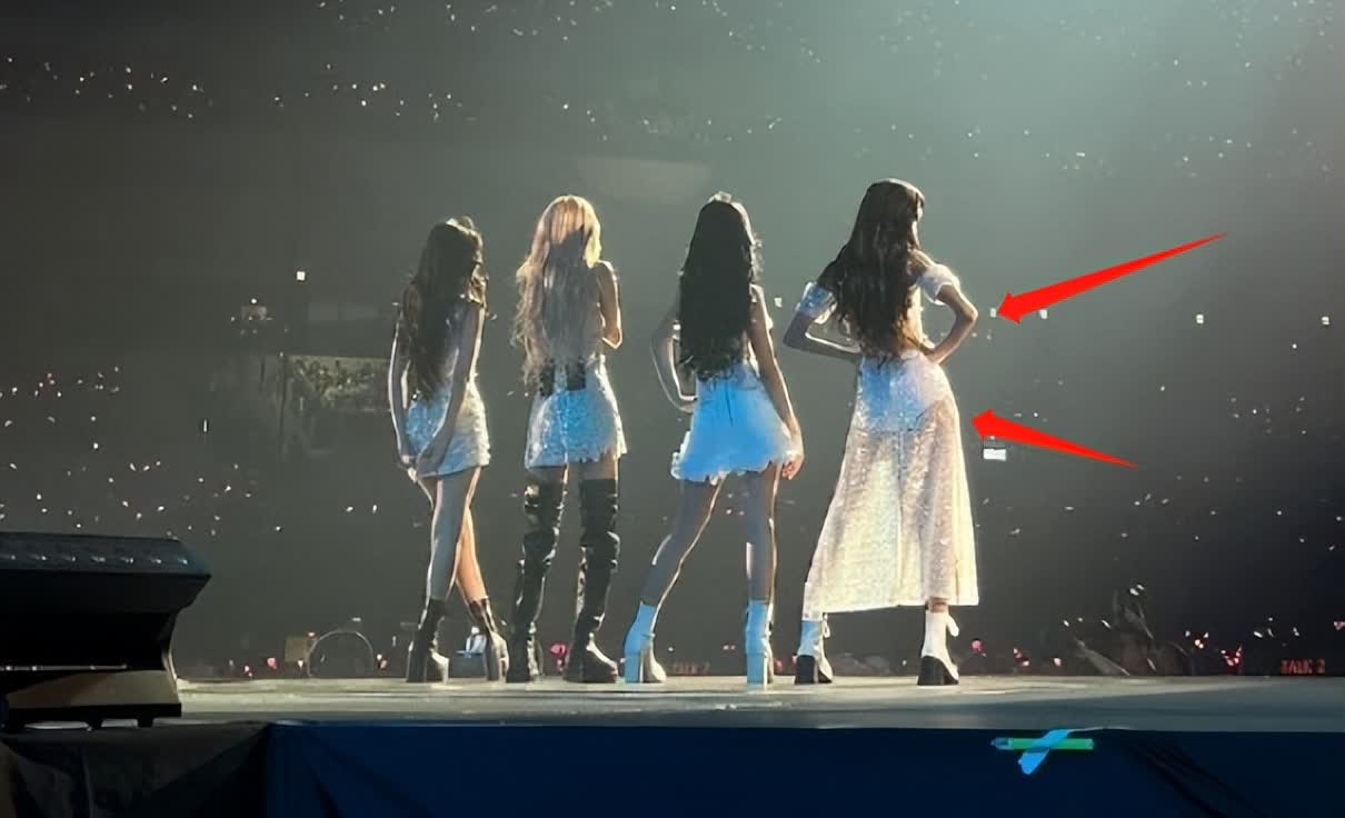 Lisa posted photos of BLACKPINK's back and was accused of being ...