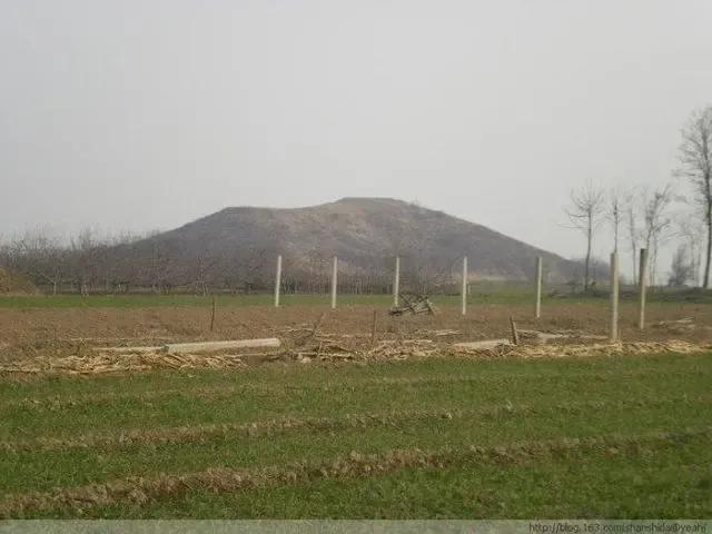 Princess Pingyang, the sister of Emperor Wu of the Han Dynasty, why ...