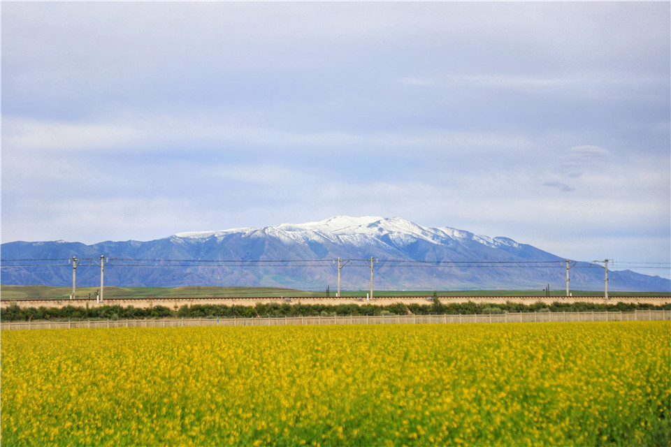 Shandan Racecourse's fertile fields are picturesque - iNEWS