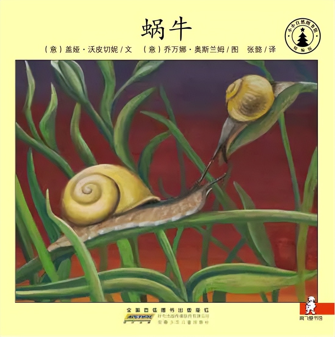 Audio Picture Book: "Snail" Little Nature Library - iNEWS