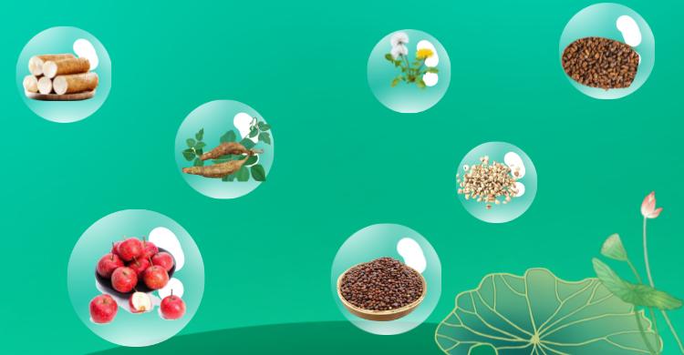 Why are so many people drinking plant refreshing?Where is the ...