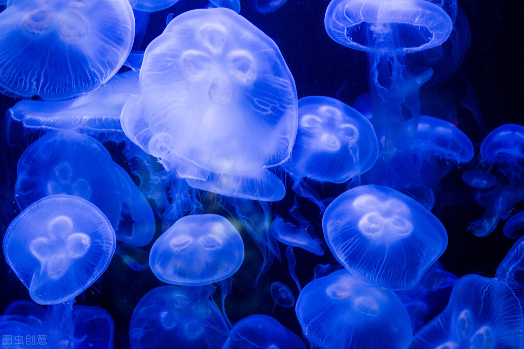 Human beings are immortal and have a new breakthrough, the mystery of ...