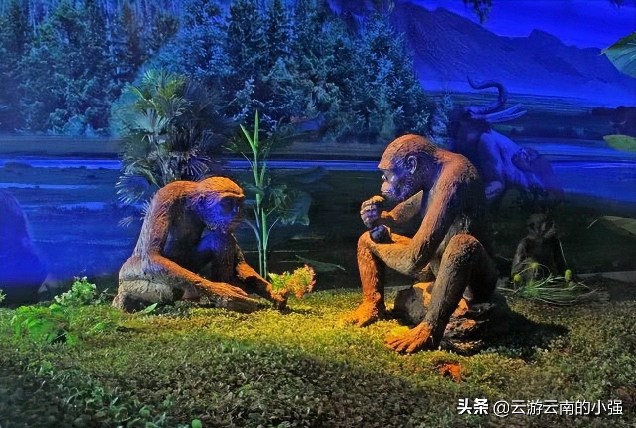 Yuanmou people, the ancestors who rewrote history, can give a glimpse ...