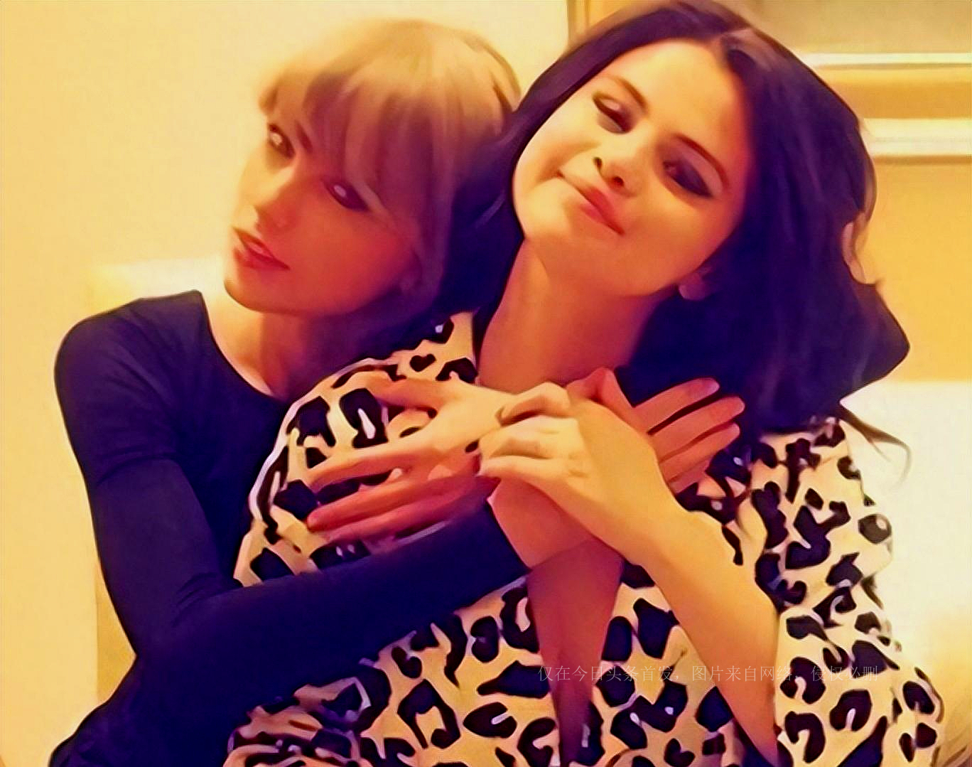 Good kidneys as donkey liver and lungs? - iMedia