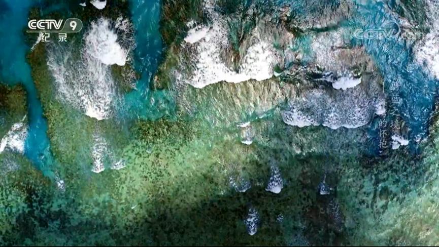 CCTV pushes super-beautiful documentary - "The Blue Realm" - iNEWS