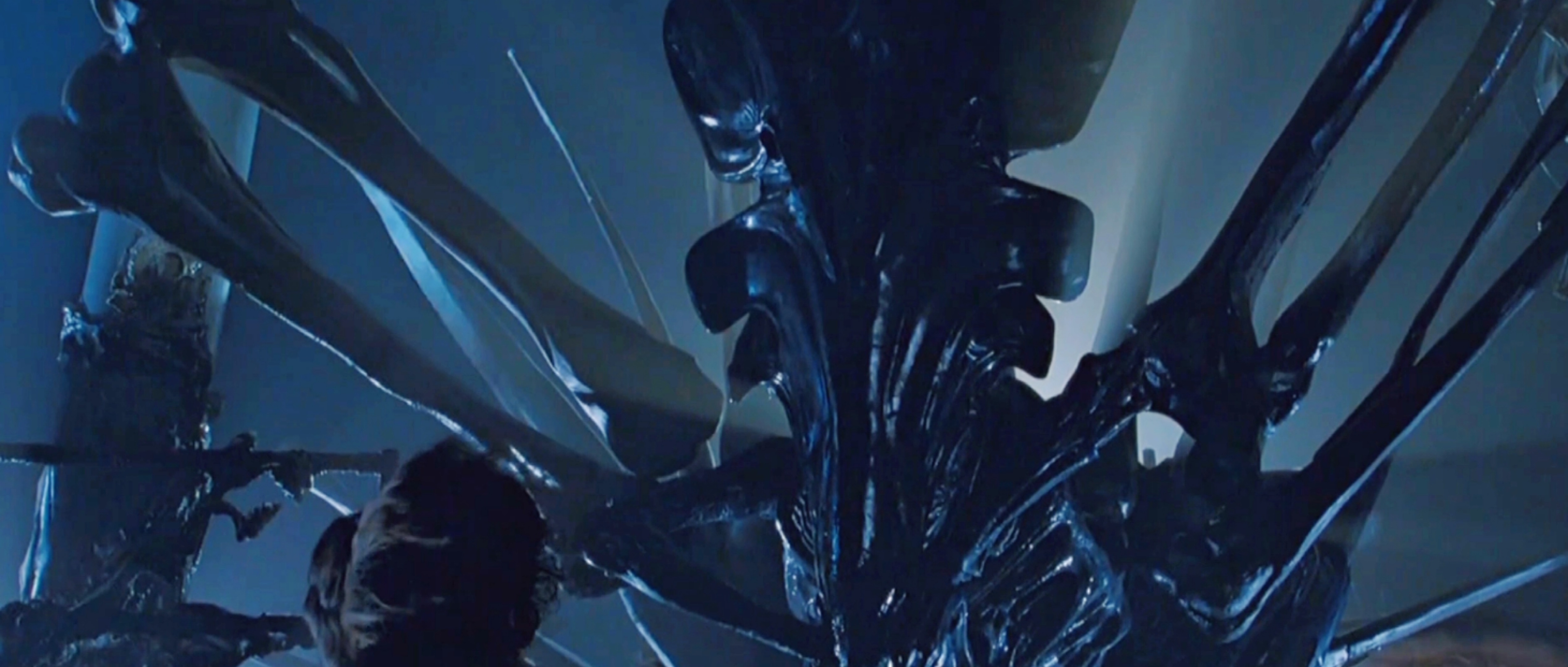 Detailed explanation of the relationship between the Predator, the ...