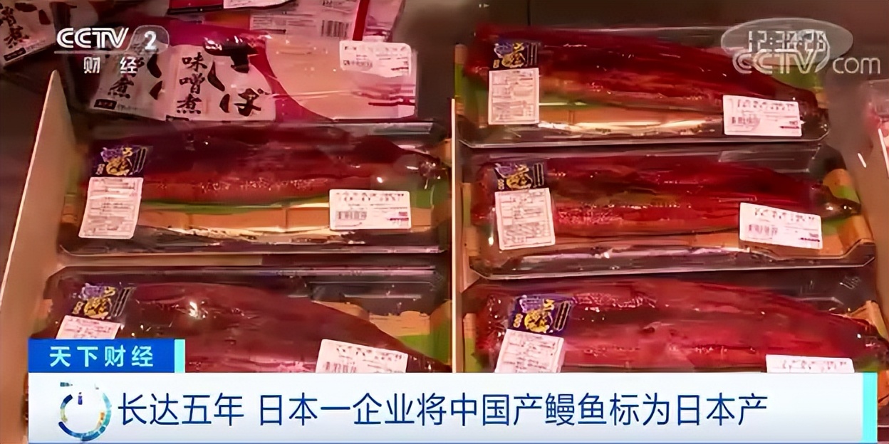 Japan discharges nuclear sewage into the sea, but eels in Japanese ...