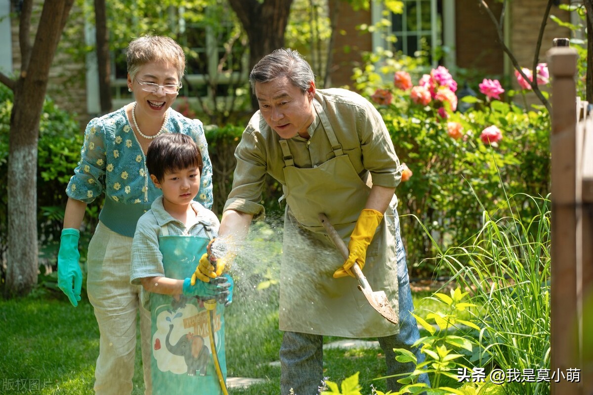 Feeling the Beauty of Life in Flowers and Plants: How to Grow Flowers ...