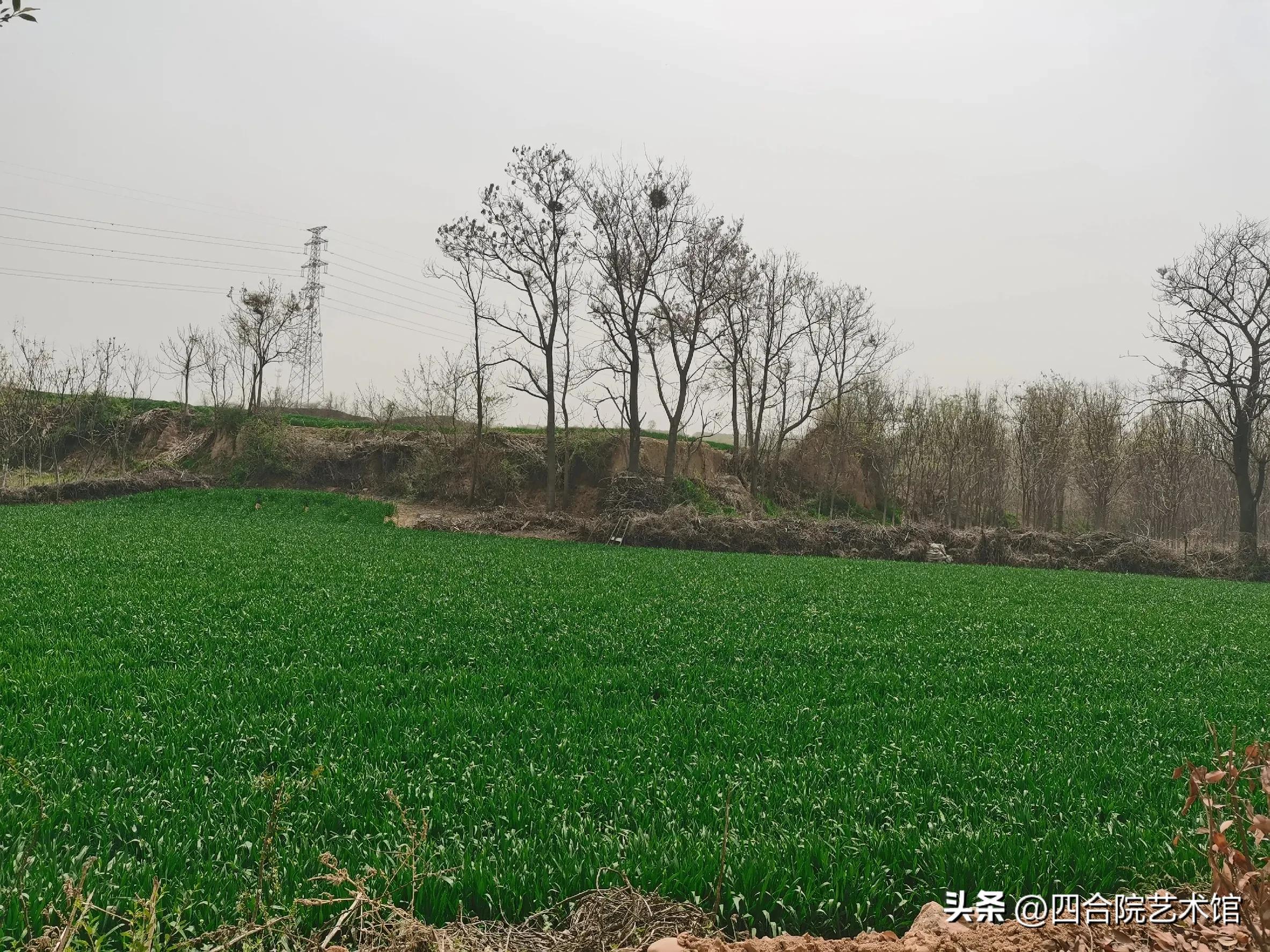The stories behind several Peiligang cultural sites in Mengjin! - iMedia