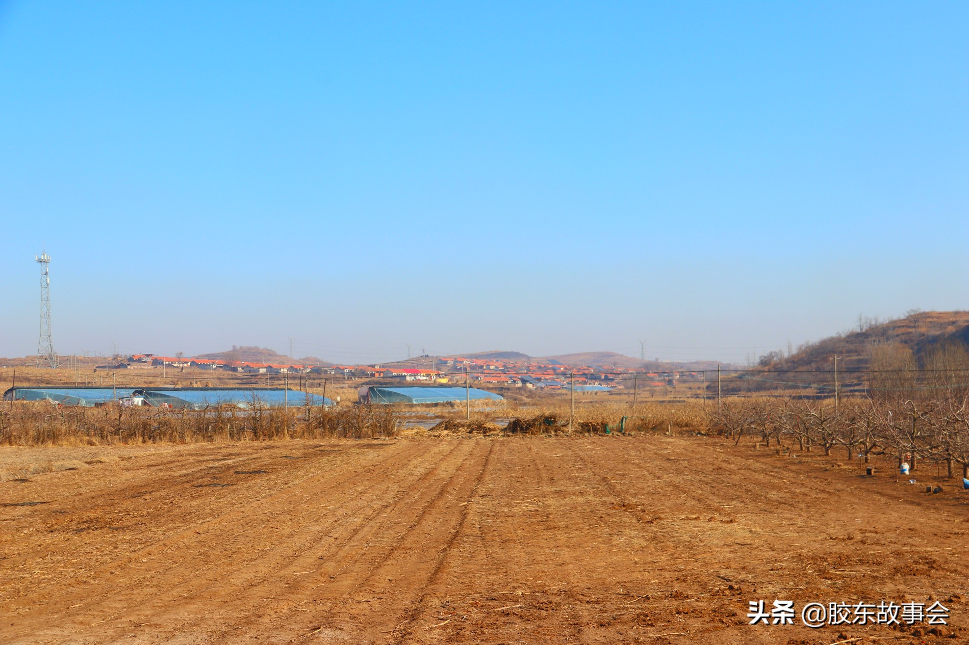 Look at the picture: Walk into Lijiakuang, Wandi Town, Laiyang City, a ...