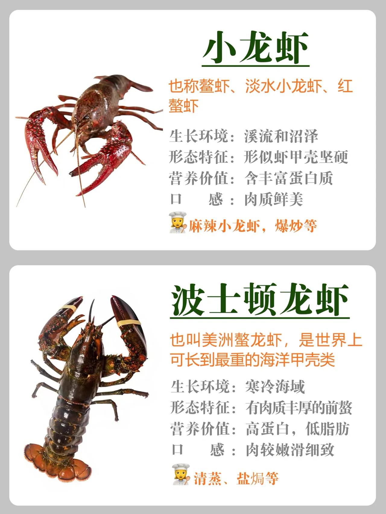 Common differences in nutritional value and practices in "Shrimp ...