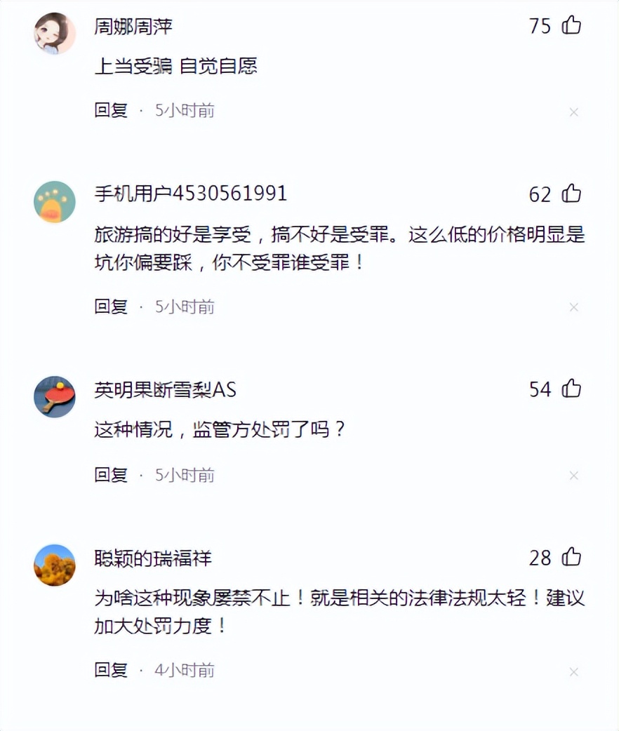 Xinjiang tourism encountered a black tour guide, 270 people were ...