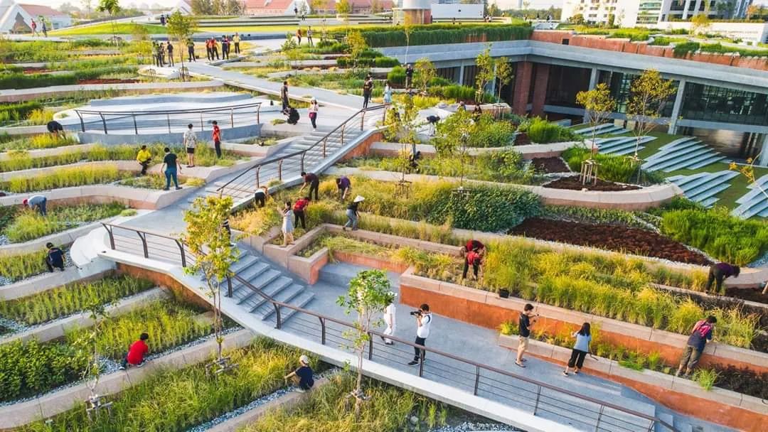 10 Rooftop Farm Designs That Are Out of the Circle - iNEWS