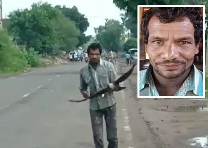 Do Vipers Really Revenge? Why does a snake with its head cut off still ...