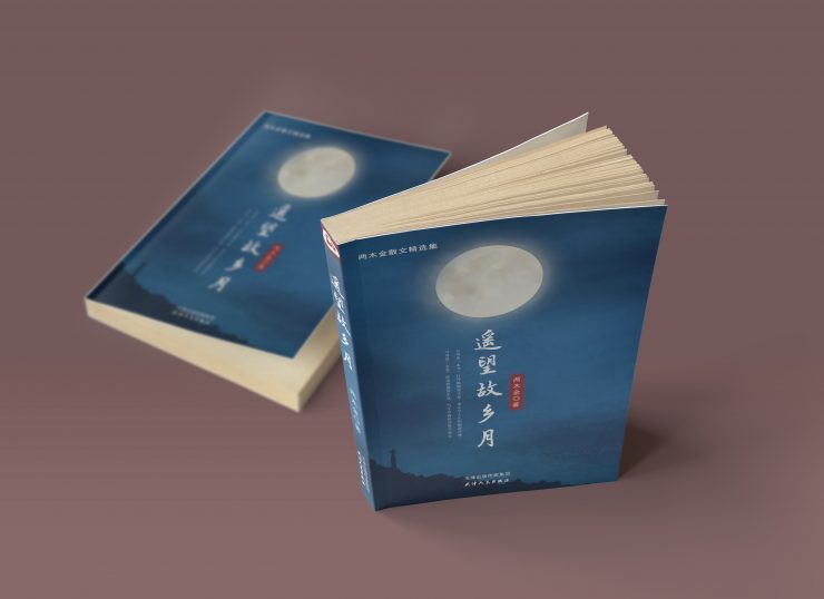 Book Review‖My thoughts on reading "Looking at Hometown Moon" by Mr ...