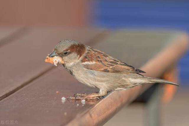 Indiscretion (short story) - iNEWS