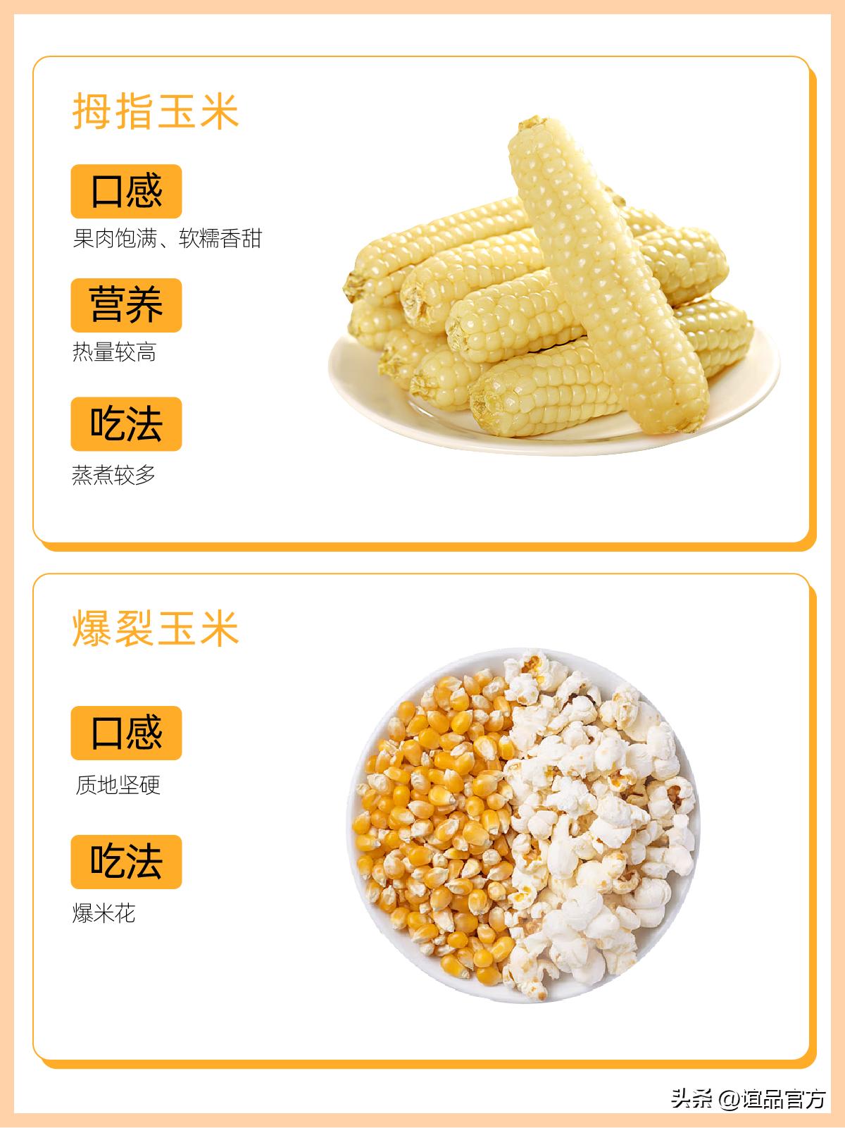 Common types and characteristics of corn - iMedia