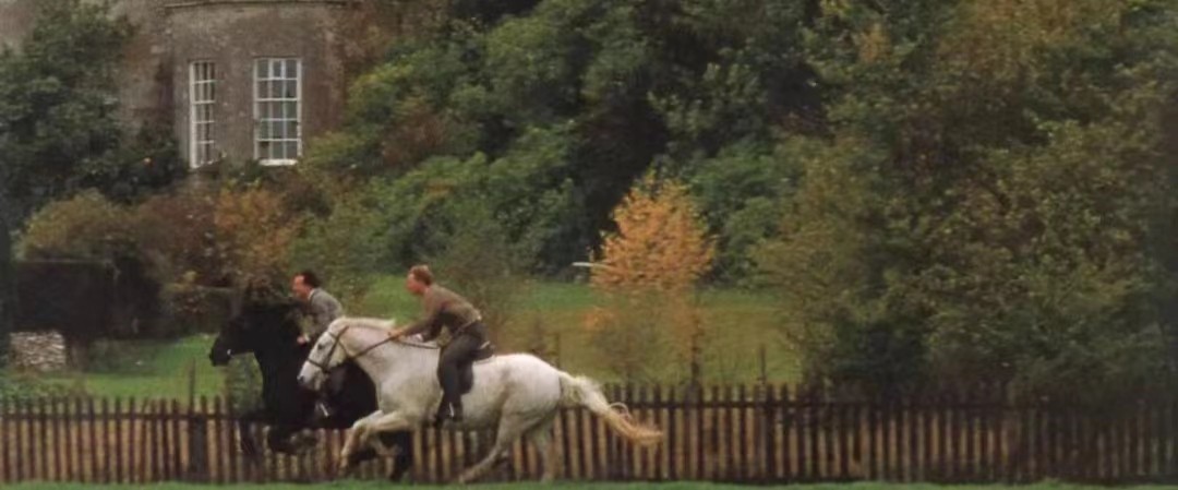 What is the purpose of the multifaceted portrayal of characters in the ...