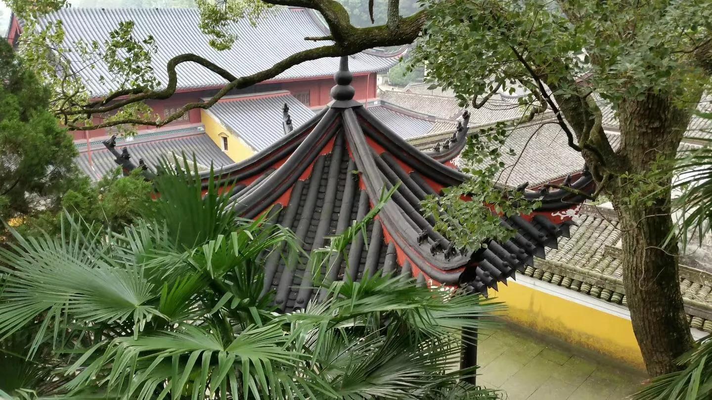 Tiantong Temple?? - iNEWS