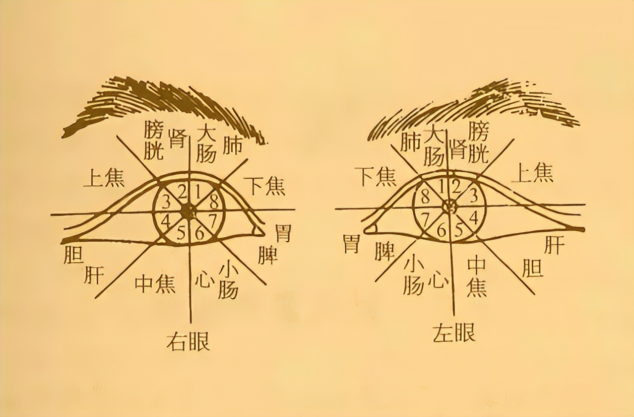 TCM's Dialectical Views on Eye Shape, Qi and Spirit (Part 1) - iNEWS