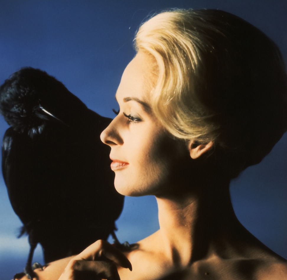The Birds: An Imaginative Narrative - iNEWS
