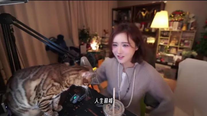 Chen Yifa'er reveals the tragedy: I have no house, no car and no love ...