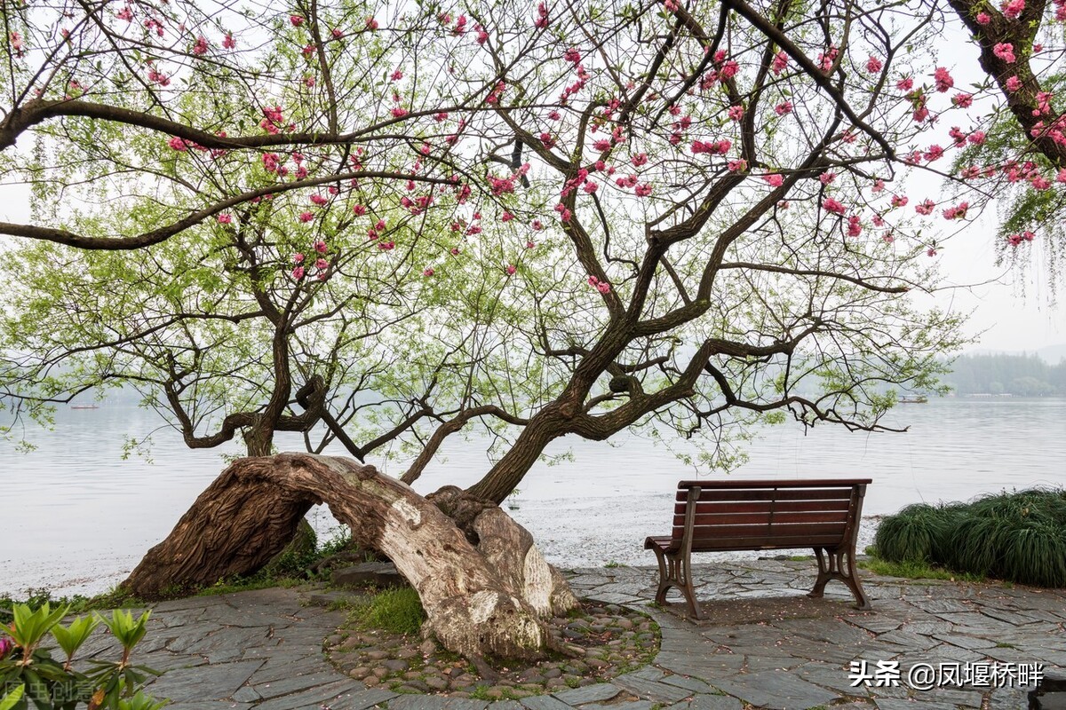 "Spring Dawn on Su Causeway", the first of the ten scenic spots of West ...