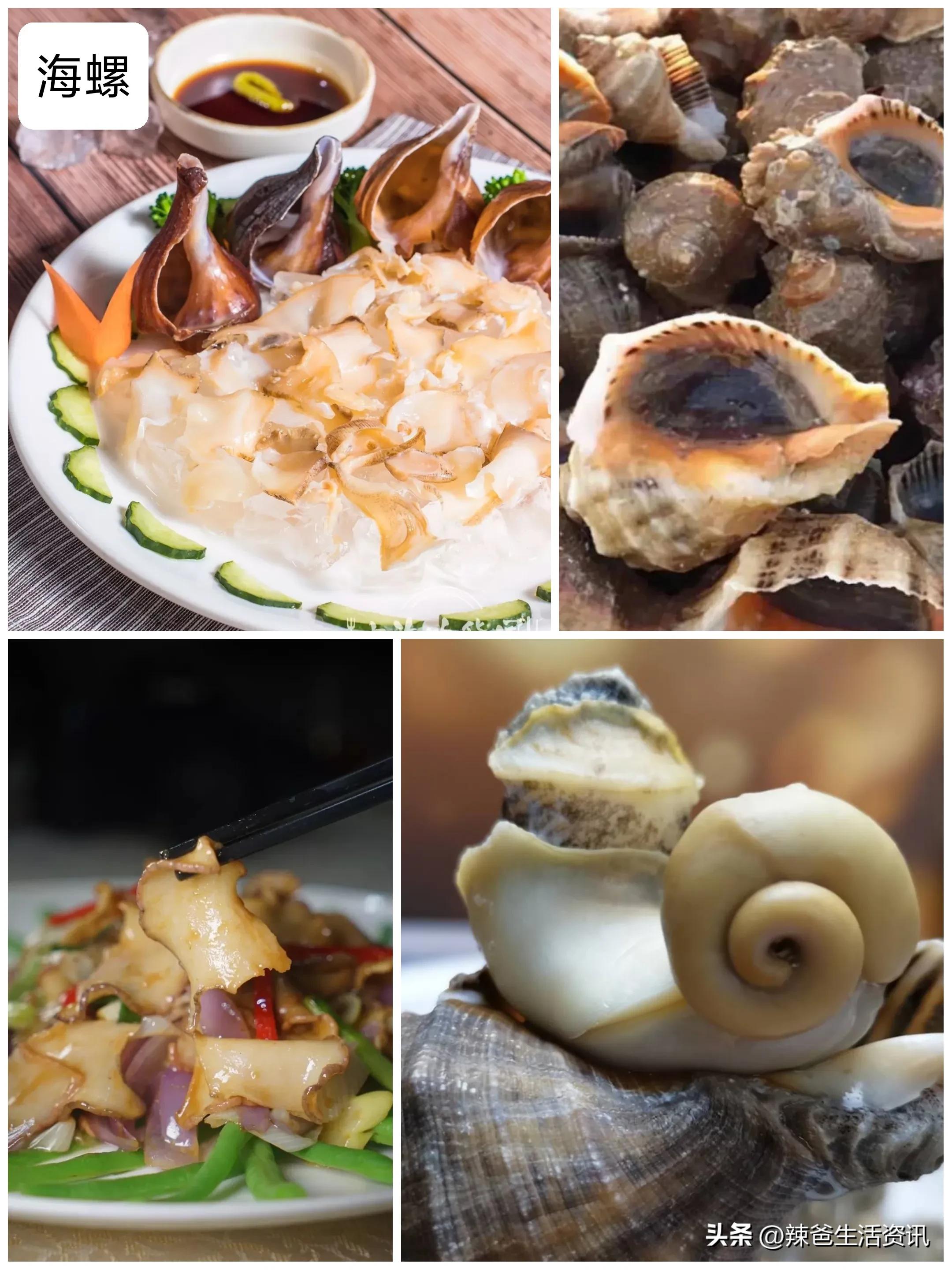 10 kinds of snails commonly eaten in the sea, how many have you eaten ...