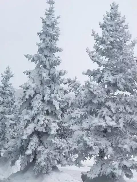 Prose: Winter Moon Snow Fluttering - iNEWS