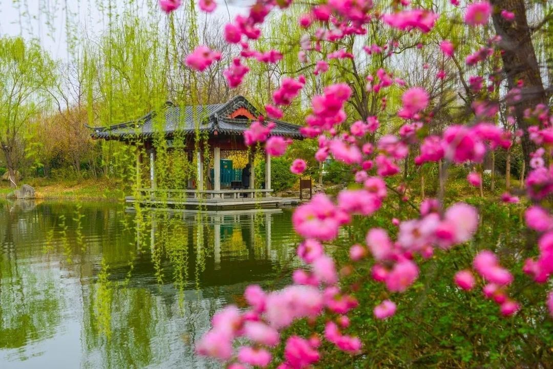 A good place to visit in Jinan-Wutan Lake Park - iMedia