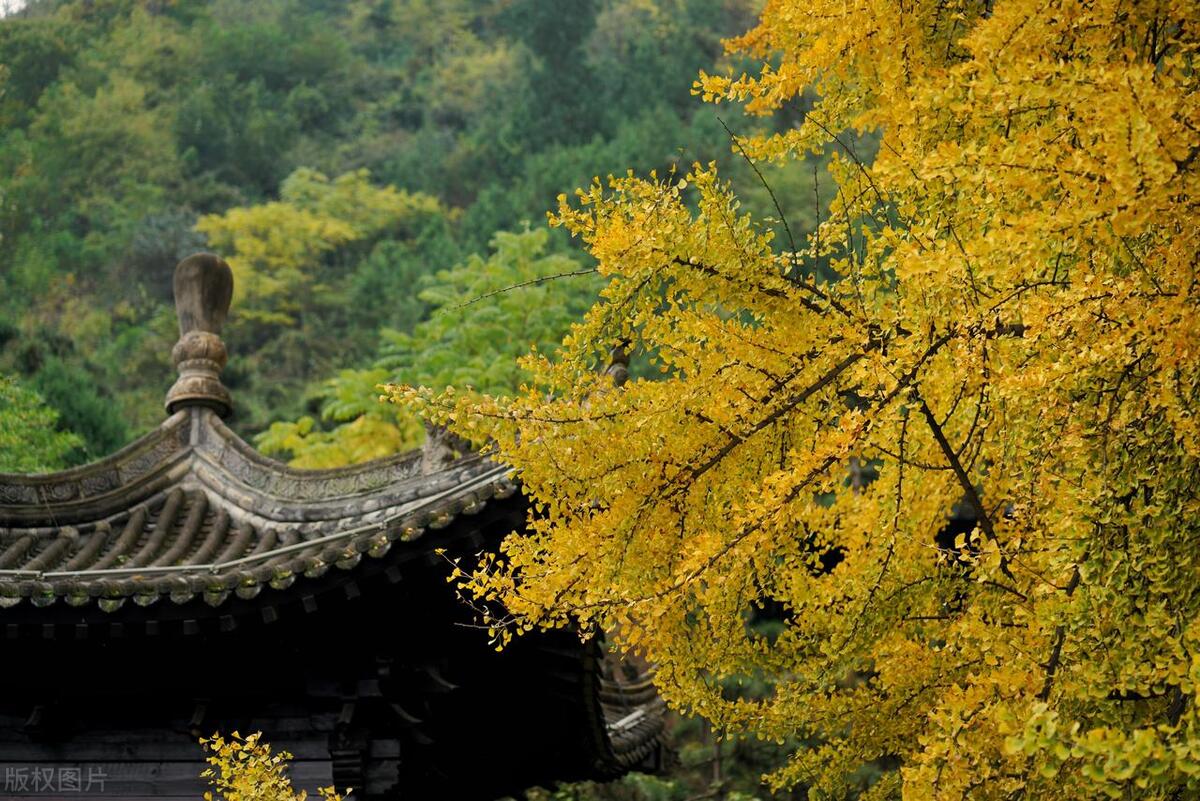 Which mountain does Nanshan in Shoubi Nanshan refer to? - iNEWS