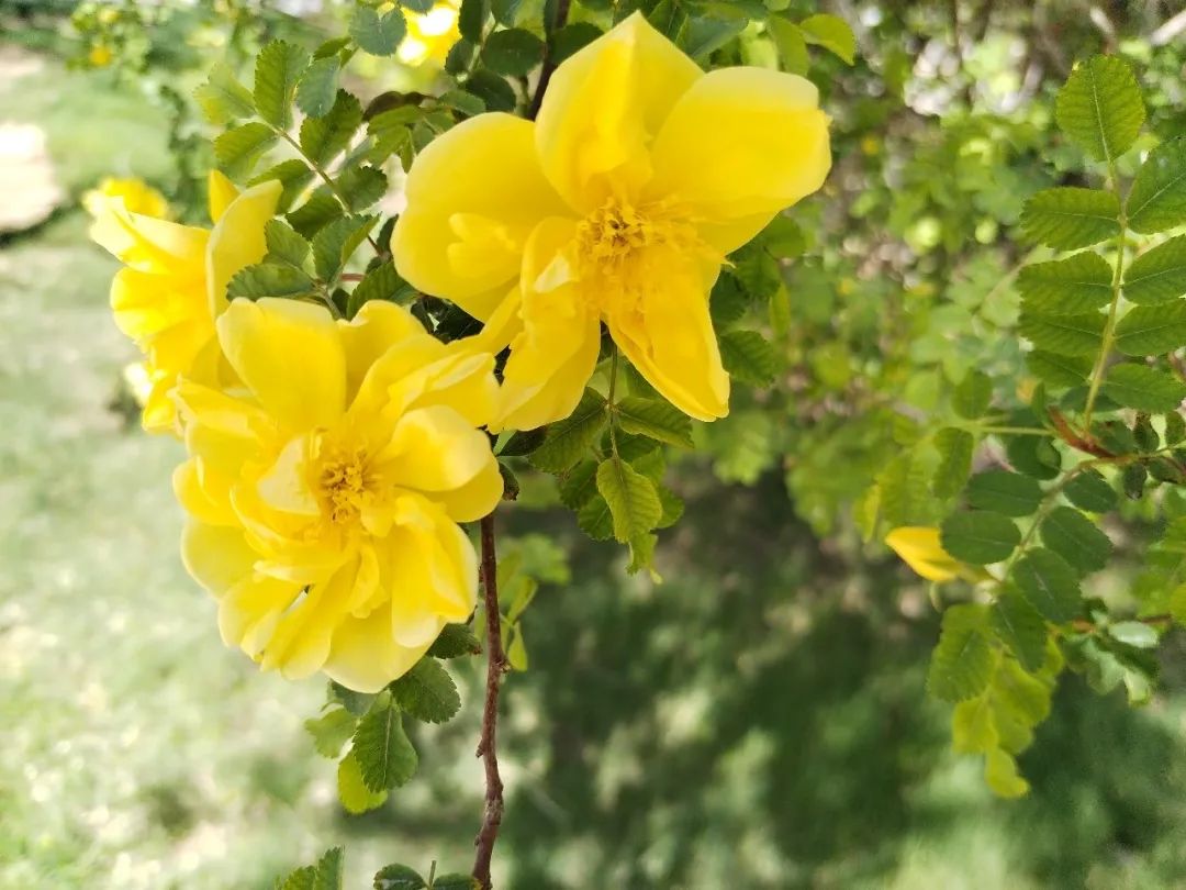 Lively places are not all lively - iMedia