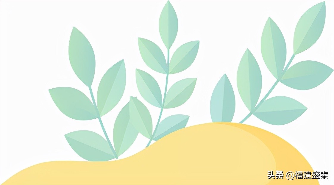 India demonstrates the autonomous take-off and landing capabilities of ...