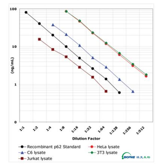 Parker Biologicals Enzo Life Sciences p62 ELISA Kit Instructions - iNEWS