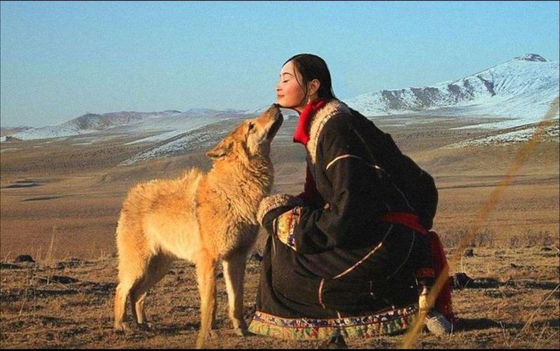 "Return to the Wolf Pack" The little wolf was raised by humans ...