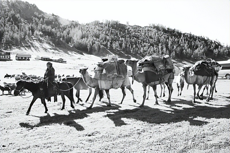 Changes in the distribution pattern of ethnic groups in Xinjiang during ...