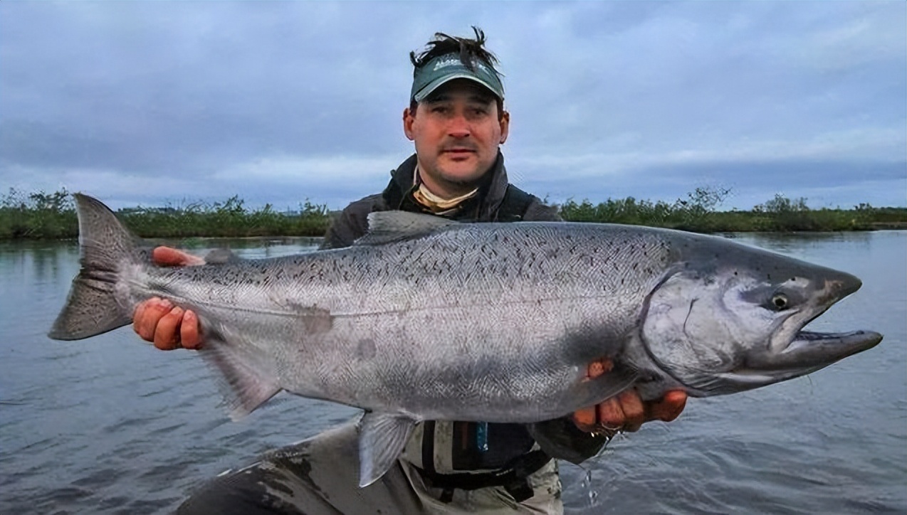 Please stop eating these 4 kinds of fish, most of them contain ...