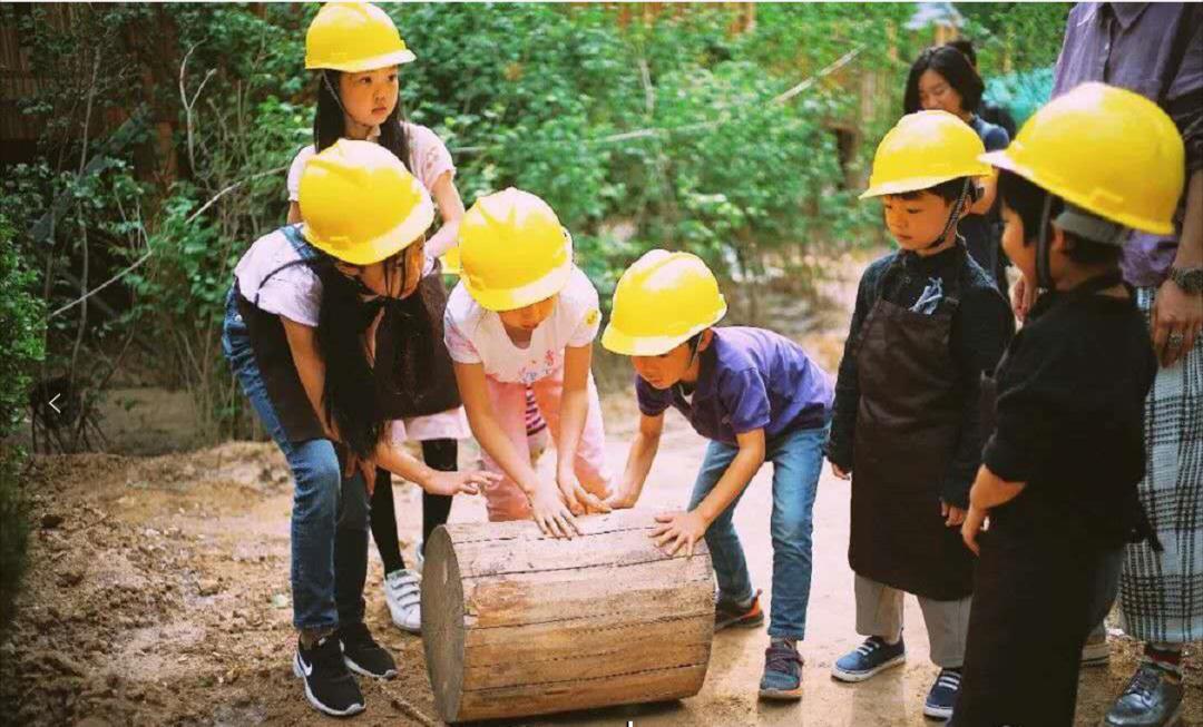 3 types of models and 5 products available in Parent-child Farm - iNEWS