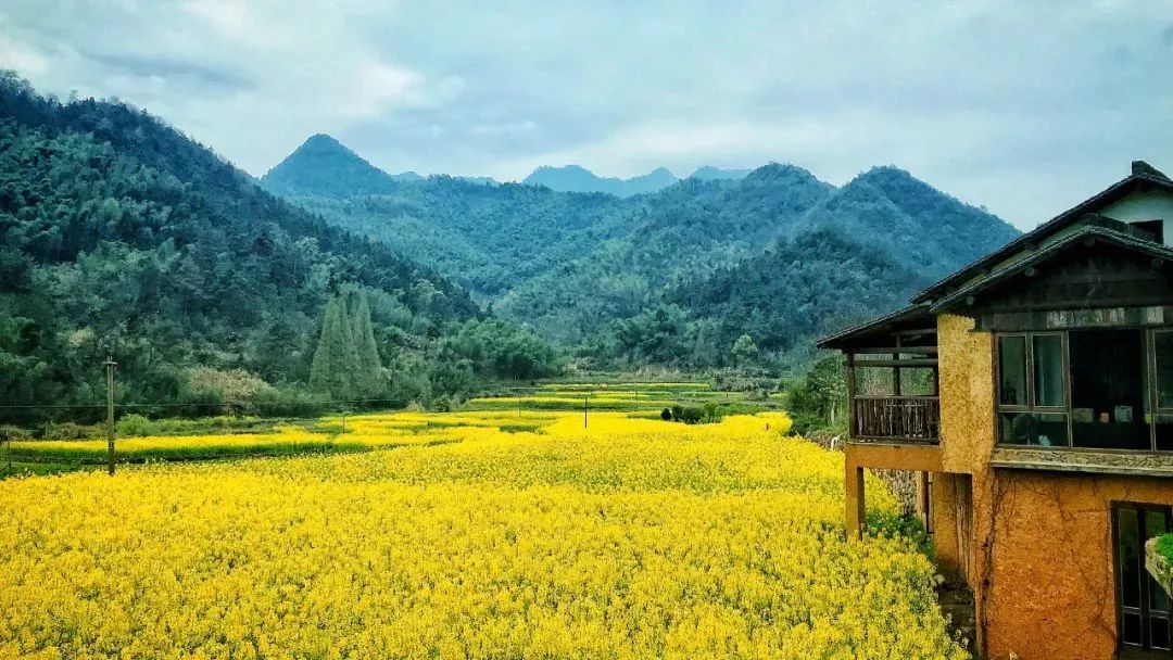 1.5h drive from Hangzhou, hidden in Tonglu, a boutique B&B in Tao ...